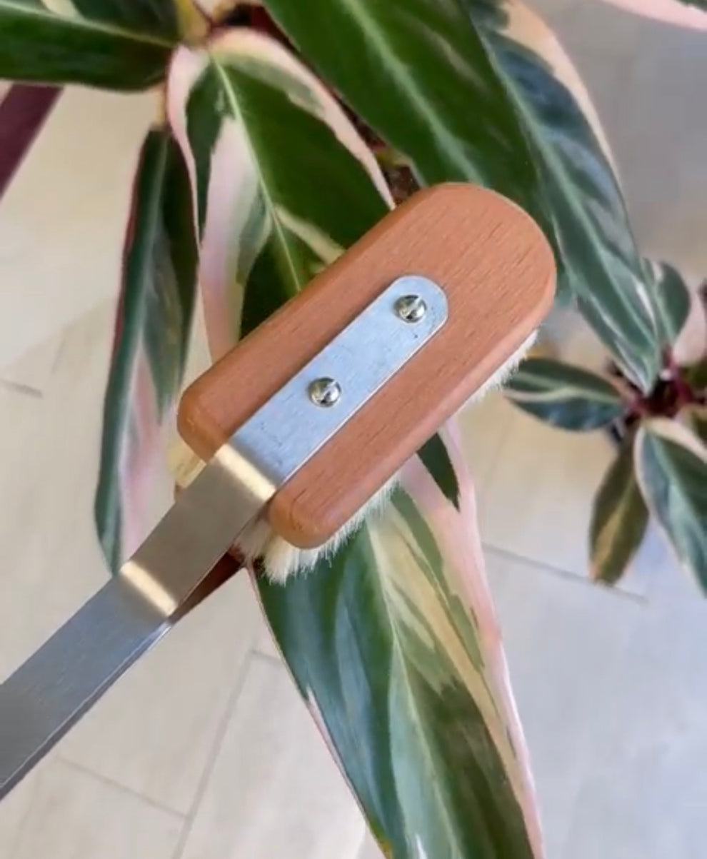 Leaf Brush for House Plants – byolongbeach